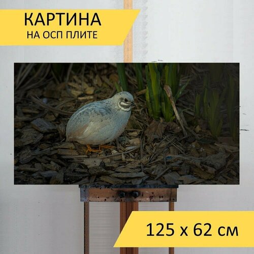 Картина на ОСП 125х62 см. "Птица, природа, оперение" горизонтальная, для интерьера, с креплениями