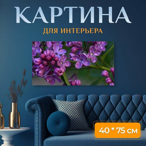 Картина на холсте "Сирень, цветы, роса" на подрамнике 75х40 см. для интерьера