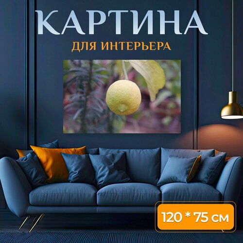 Картина на холсте "Лимон, жёлтый, цитрусовые" на подрамнике 120х75 см. для интерьера
