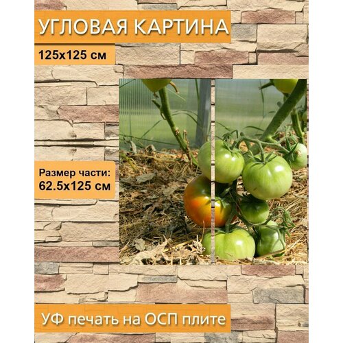 Модульная картина на ОСП "Теплица, томаты, помидоры" 125x125 см. 2 части для интерьера на стену