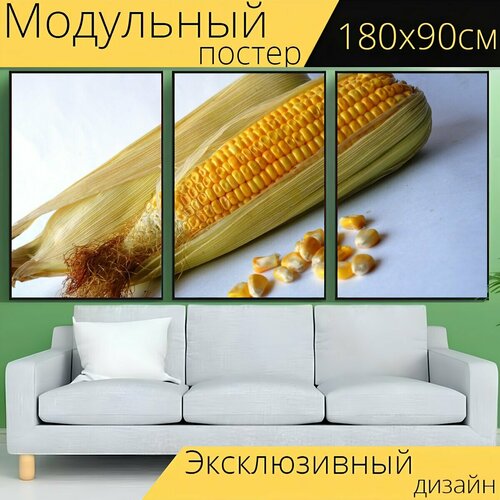Модульный постер "Кукуруза, овощи, зерно" 180 x 90 см. для интерьера