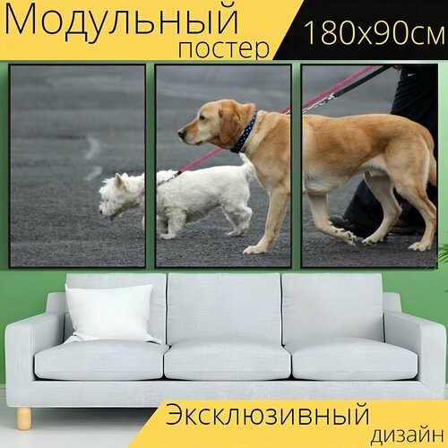 Модульный постер "Животное, собака, домашний питомец" 180 x 90 см. для интерьера