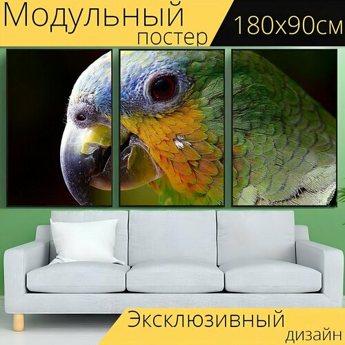 Модульный постер "Попугай, ара, голова" 180 x 90 см. для интерьера