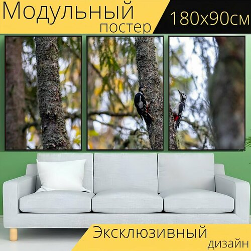 Модульный постер "Большие пятнистые дятлы, деревья, птицы" 180 x 90 см. для интерьера