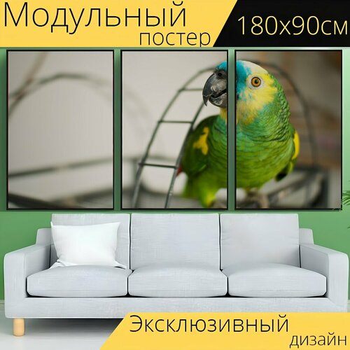 Модульный постер "Птица, попугай, какаду" 180 x 90 см. для интерьера