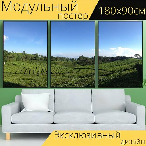 Модульный постер "Чайная долина, бандунг, индонезия" 180 x 90 см. для интерьера