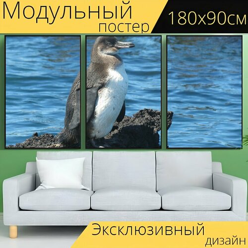 Модульный постер "Пингвин, птица, нелетающих" 180 x 90 см. для интерьера