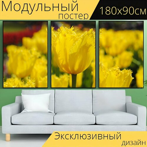 Модульный постер "Тюльпан, цветок, флора" 180 x 90 см. для интерьера