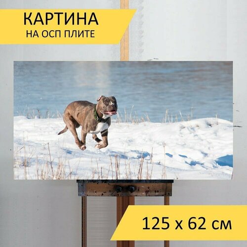 Картина на ОСП 125х62 см. "Терьер, собака, снег" горизонтальная, для интерьера, с креплениями