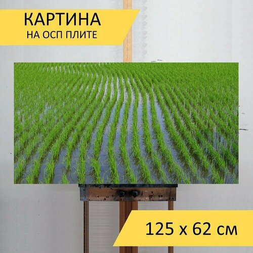 Картина на ОСП 125х62 см. "Рисовые поля, ферма, пэдди" горизонтальная, для интерьера, с креплениями