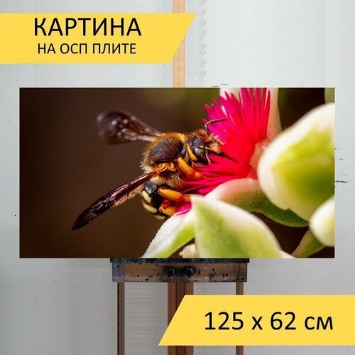 Картина на ОСП 125х62 см. "Макрос, пчела, цветочная пыльца" горизонтальная, для интерьера, с креплениями