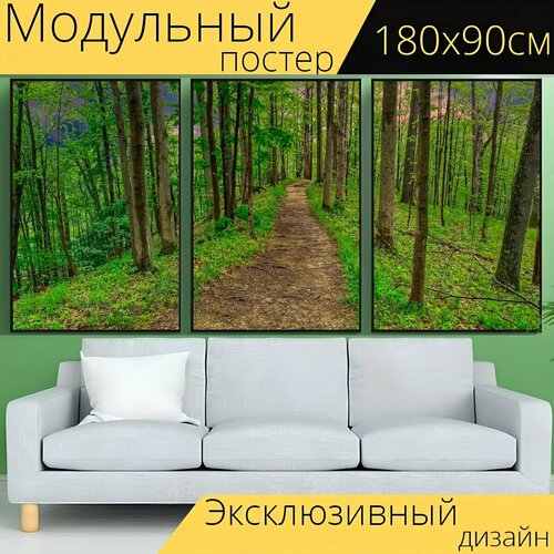 Модульный постер "Природа, пейзаж, лес" 180 x 90 см. для интерьера