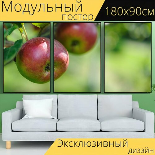 Модульный постер "Яблоки, грустно, сад" 180 x 90 см. для интерьера