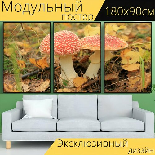 Модульный постер "Мухомор, гриб, леса" 180 x 90 см. для интерьера