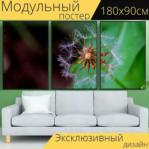 Модульный постер "Одуванчик, цветок, завод" 180 x 90 см. для интерьера
