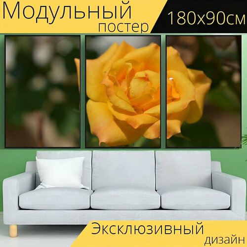 Модульный постер "Роза, желтый, цветы" 180 x 90 см. для интерьера