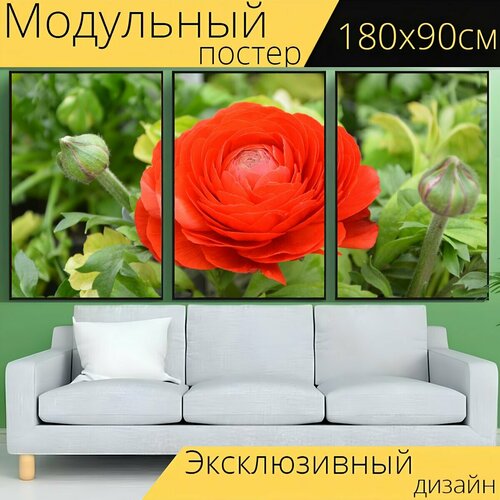 Модульный постер "Цветок растение, лютик, цветок" 180 x 90 см. для интерьера