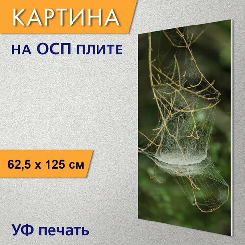 Вертикальная картина на ОСП "Паутина, роса на паутине, паук" 62x125 см. для интерьериа