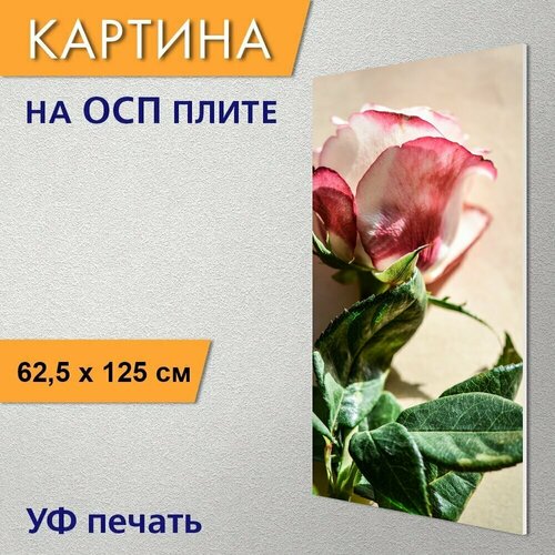 Вертикальная картина на ОСП "Роза, цветок, не замужем" 62x125 см. для интерьериа