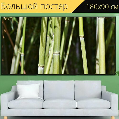 Большой постер "Бамбук, бамбуковый лес, гигантский бамбук" 180 x 90 см. для интерьера
