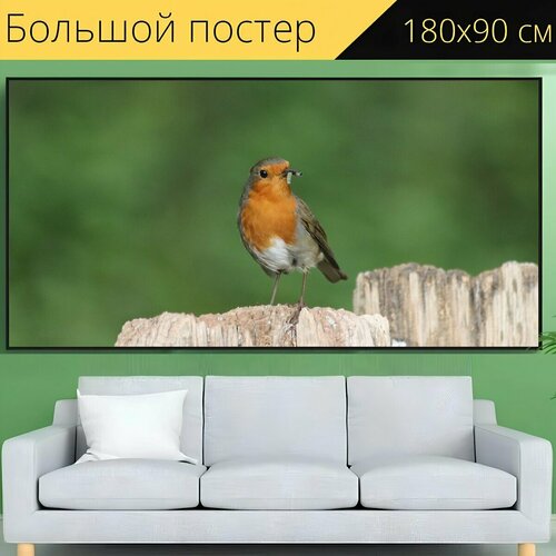 Большой постер "Робин, птица, природа" 180 x 90 см. для интерьера