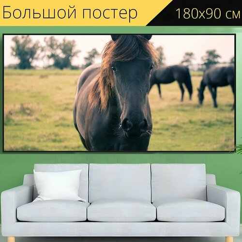 Большой постер "Лошадь, лошади, природа" 180 x 90 см. для интерьера