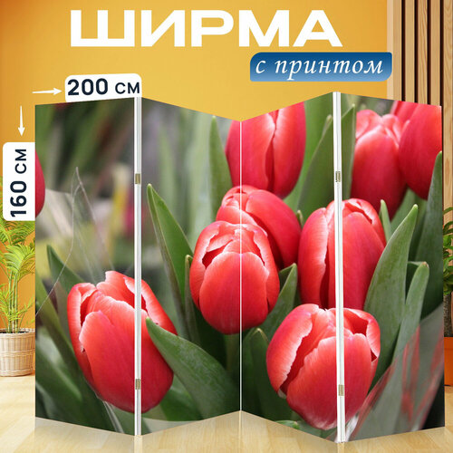 Ширма перегородка с принтом "Тюльпаны, цветы, марта" на холсте - 200x160 см. для зонирования, раскладная