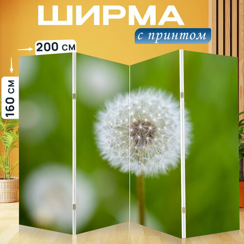 Ширма перегородка с принтом "Одуванчик, цветок, природа" на холсте - 200x160 см. для зонирования, раскладная