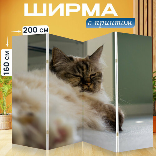 Ширма перегородка с принтом "Кошка, закрытый, животное" на холсте - 200x160 см. для зонирования, раскладная