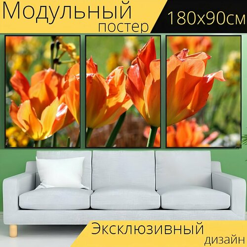Модульный постер "Тюльпаны, весна, сад" 180 x 90 см. для интерьера