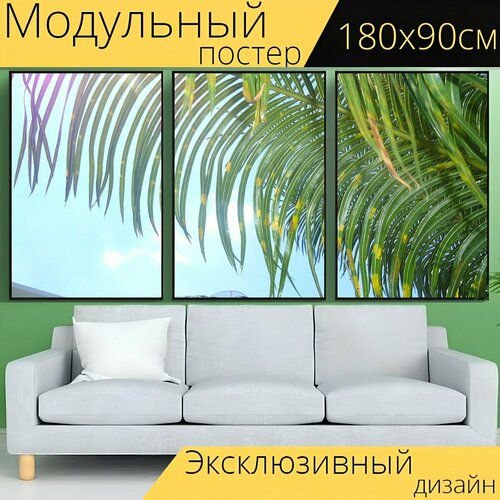 Модульный постер "Пальмовые деревья, бразилия, растения" 180 x 90 см. для интерьера