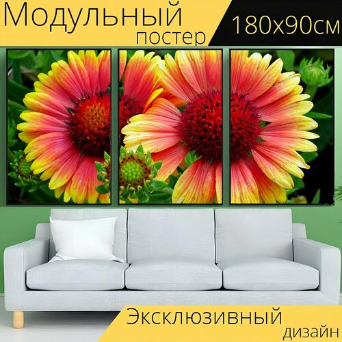 Модульный постер "Цветы, красочные, природа" 180 x 90 см. для интерьера