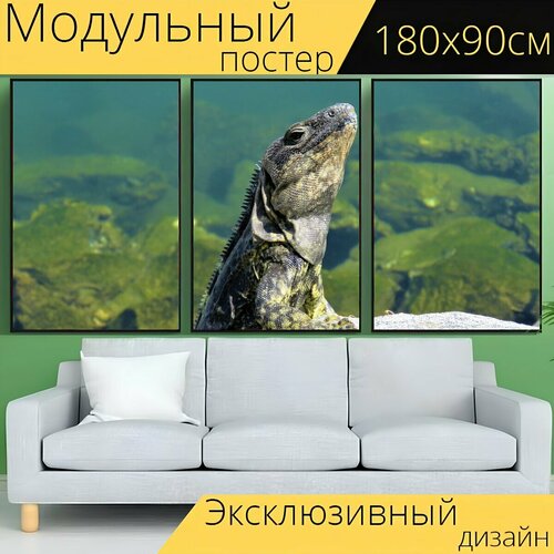 Модульный постер "Игуана, ящерица, дракон" 180 x 90 см. для интерьера