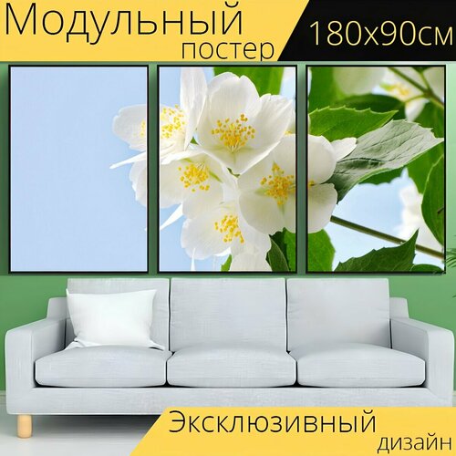 Модульный постер "Куст жасмина, белый, весна" 180 x 90 см. для интерьера