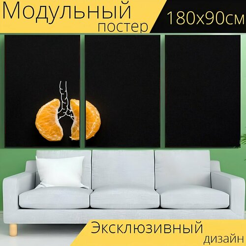 Модульный постер "Апельсин, легкие, творчество" 180 x 90 см. для интерьера