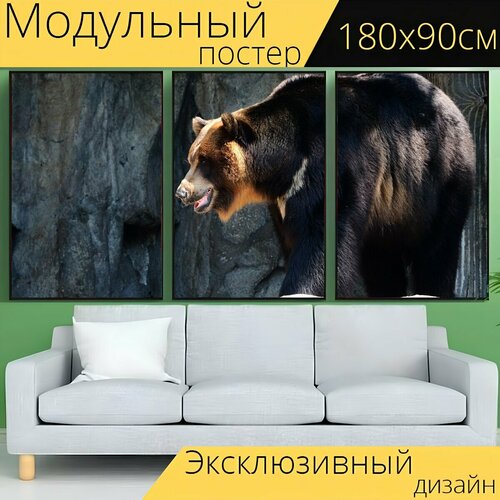Модульный постер "Нести, зоопарк, полумесяц медведь" 180 x 90 см. для интерьера