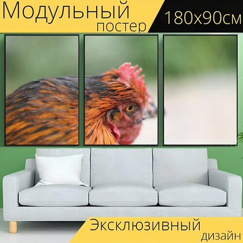 Модульный постер "Курица, кран, птица" 180 x 90 см. для интерьера