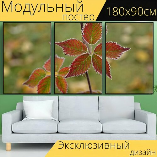 Модульный постер "Листья, иней, листья ежевики" 180 x 90 см. для интерьера