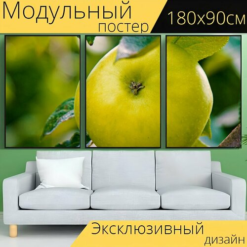 Модульный постер "Яблоко, зеленый, фрукты" 180 x 90 см. для интерьера