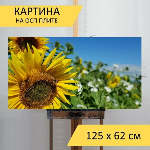 Картина на ОСП 125х62 см. "Подсолнечник, полевой цветок, пчела" горизонтальная, для интерьера, с креплениями