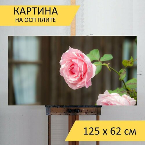 Картина на ОСП 125х62 см. "Роза, розовый, цвести" горизонтальная, для интерьера, с креплениями