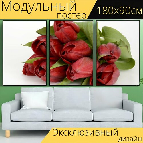 Модульный постер "Тюльпаны, расцветает, весна" 180 x 90 см. для интерьера
