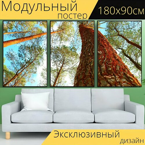 Модульный постер "Дерево, древесина, природа" 180 x 90 см. для интерьера