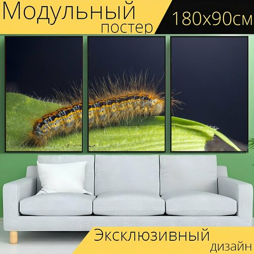 Модульный постер "Гусеничные, личинка, бабочка" 180 x 90 см. для интерьера