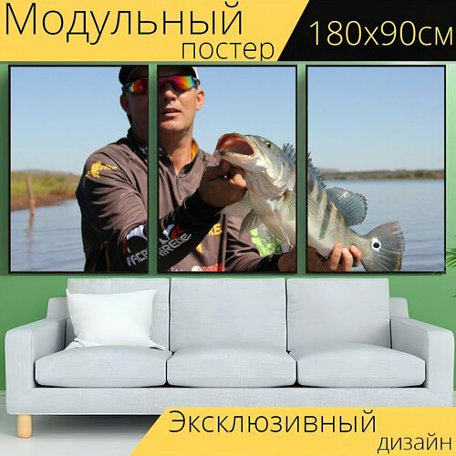 Модульный постер "Павлиний окунь, рыбалка, турнир" 180 x 90 см. для интерьера