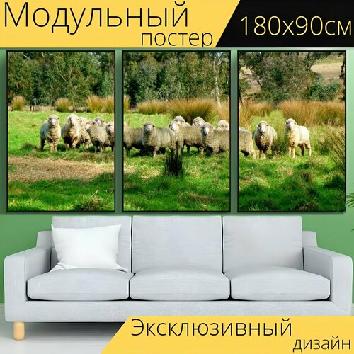 Модульный постер "Овец, стадо, животные" 180 x 90 см. для интерьера