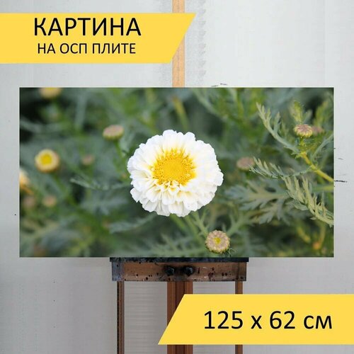 Картина на ОСП 125х62 см. "Цветок, белый, весна" горизонтальная, для интерьера, с креплениями