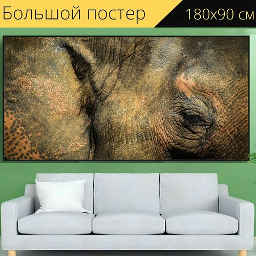 Большой постер "Слон, животное, зоопарк" 180 x 90 см. для интерьера