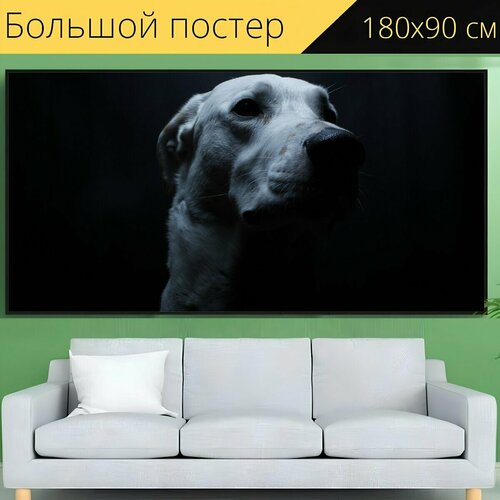 Большой постер "Собака, темный, животное" 180 x 90 см. для интерьера