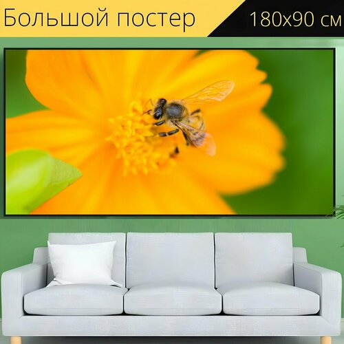 Большой постер "Пчела, природа, природаза" 180 x 90 см. для интерьера